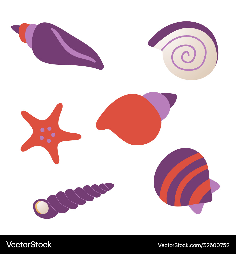 Sea shells and star Royalty Free Vector Image - VectorStock