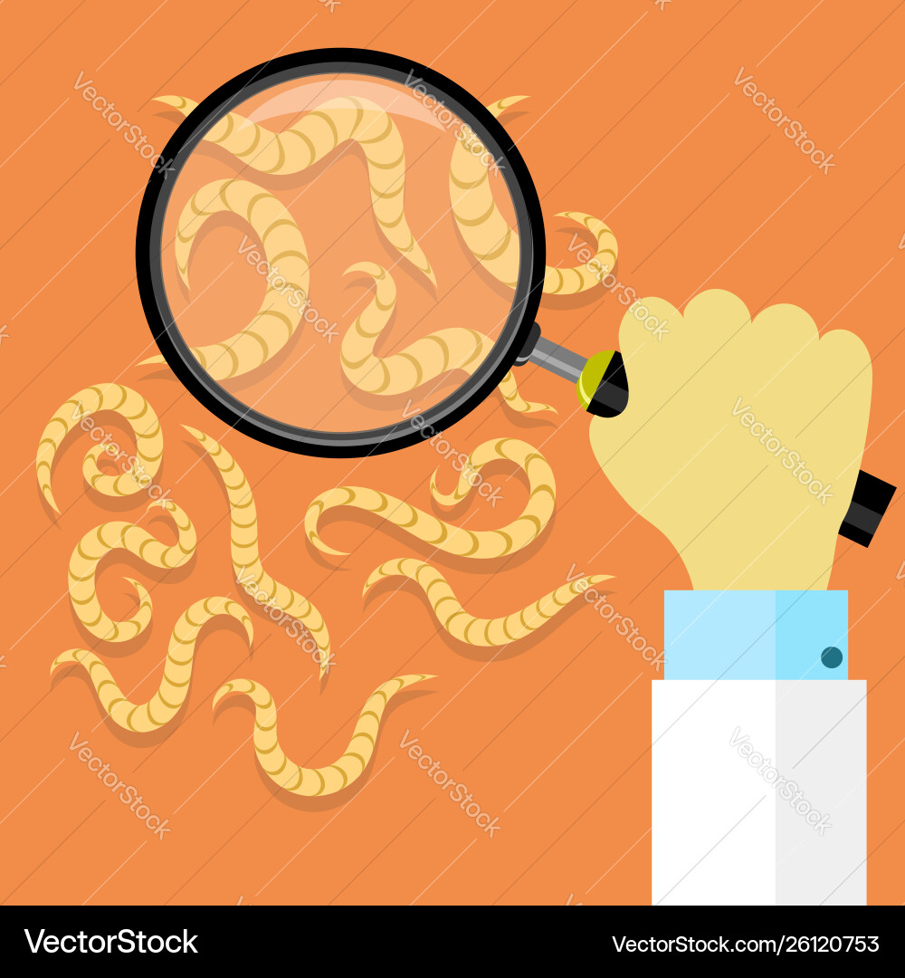 Ascarid helminth pinworm threadworm set Royalty Free Vector