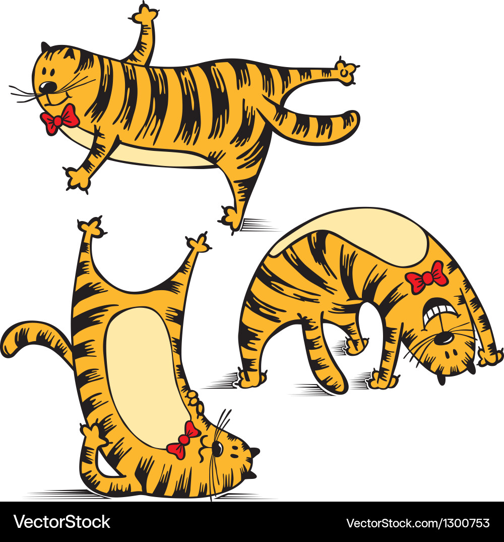 Sports funny cat makes exercise Royalty Free Vector Image