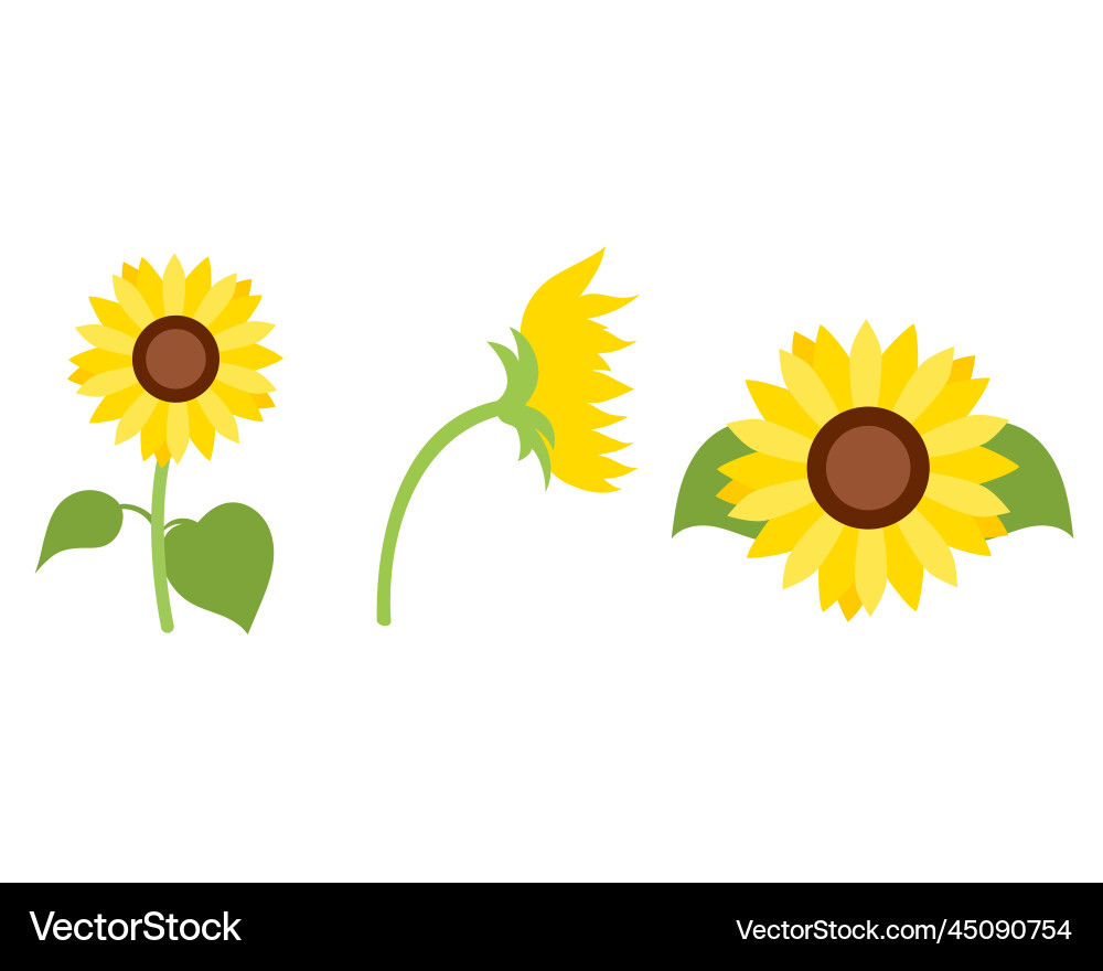 Cute sunflower set in flat style isolated Vector Image