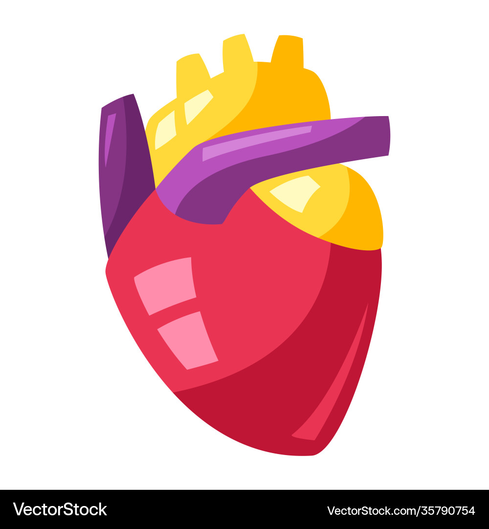 Human heart Royalty Free Vector Image - VectorStock