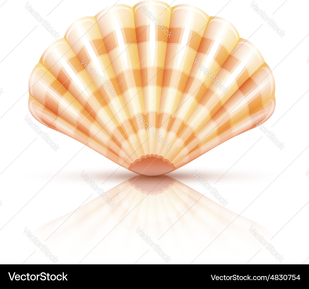 Shellfish seashell isolated Royalty Free Vector Image