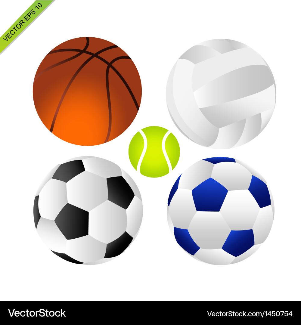 Sport balls Royalty Free Vector Image - VectorStock