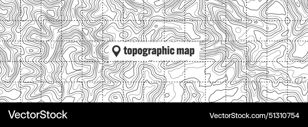 Topographic map with contour lines geographic Vector Image