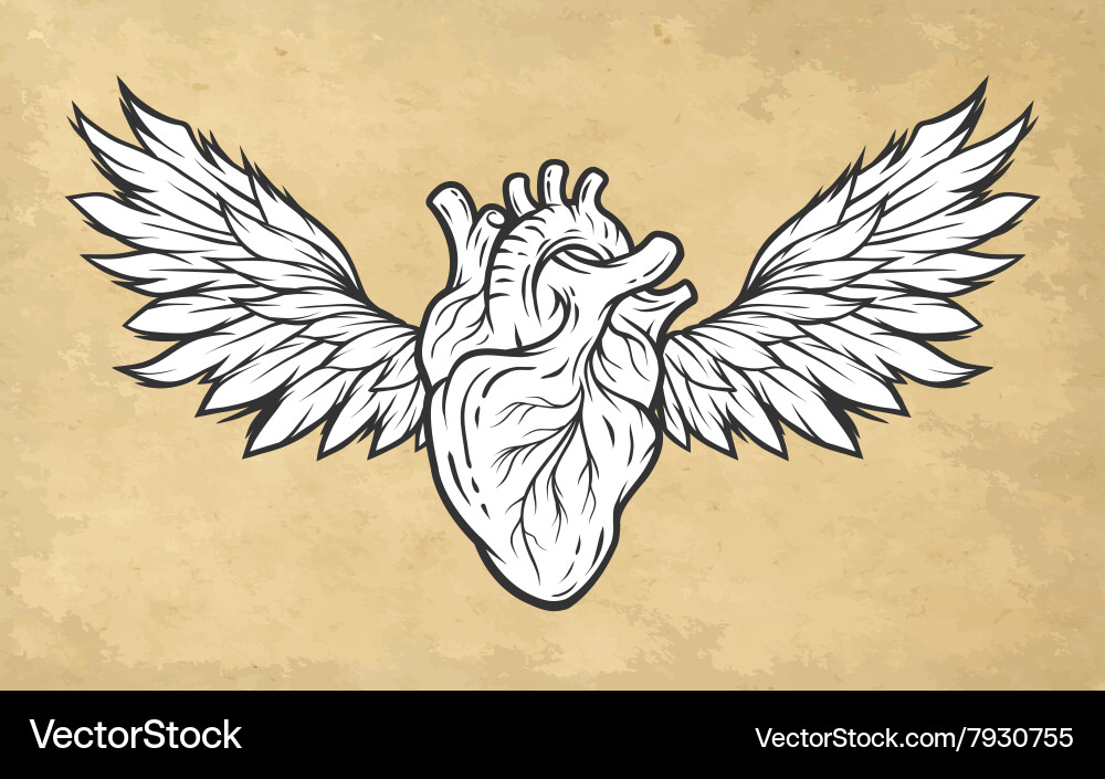 Anatomical heart with wings symbol Royalty Free Vector Image