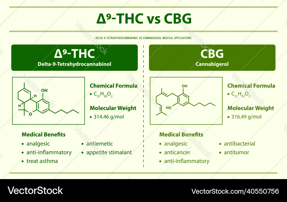 9-thc vs cbg delta 9 tetrahydrocannabinol Vector Image