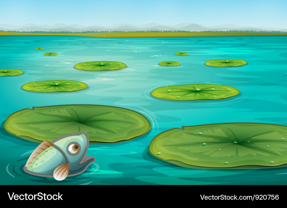 Animated Lily Pads