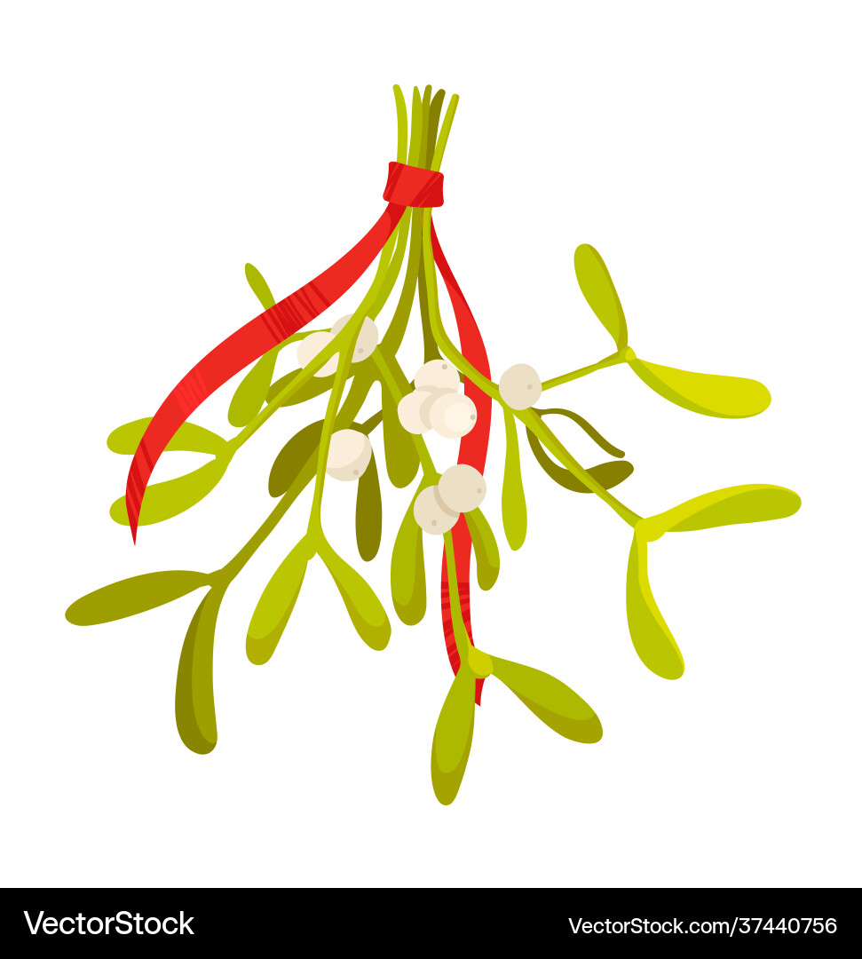 Little branch mistletoe on white background Vector Image