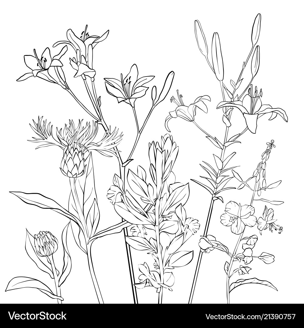 Drawing flowers Royalty Free Vector Image - VectorStock