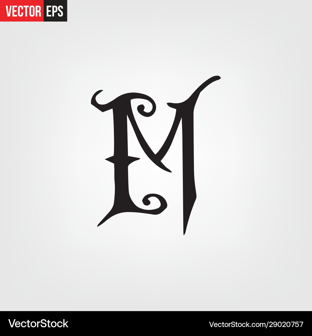 Elegant alphabet letters font Royalty Free Vector Image