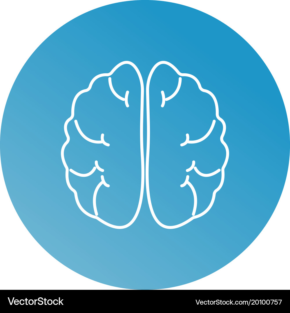 Line brain Royalty Free Vector Image - VectorStock