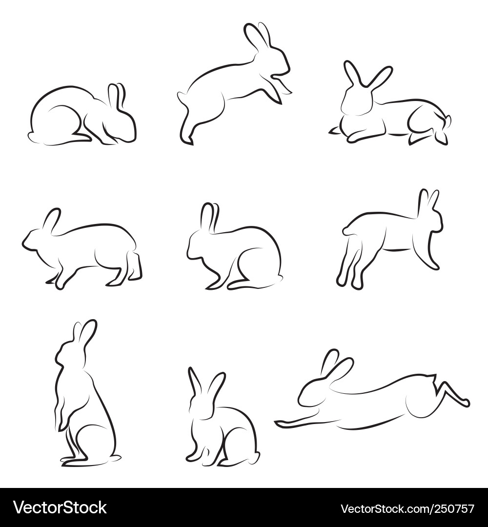 Rabbit Line Drawing Vector Images (over 9,800)