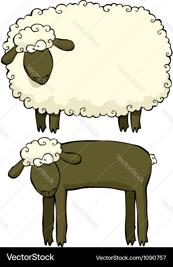 Two sheep Royalty Free Vector Image - VectorStock