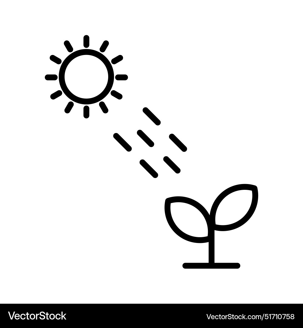 Photosynthesis icon Royalty Free Vector Image - VectorStock