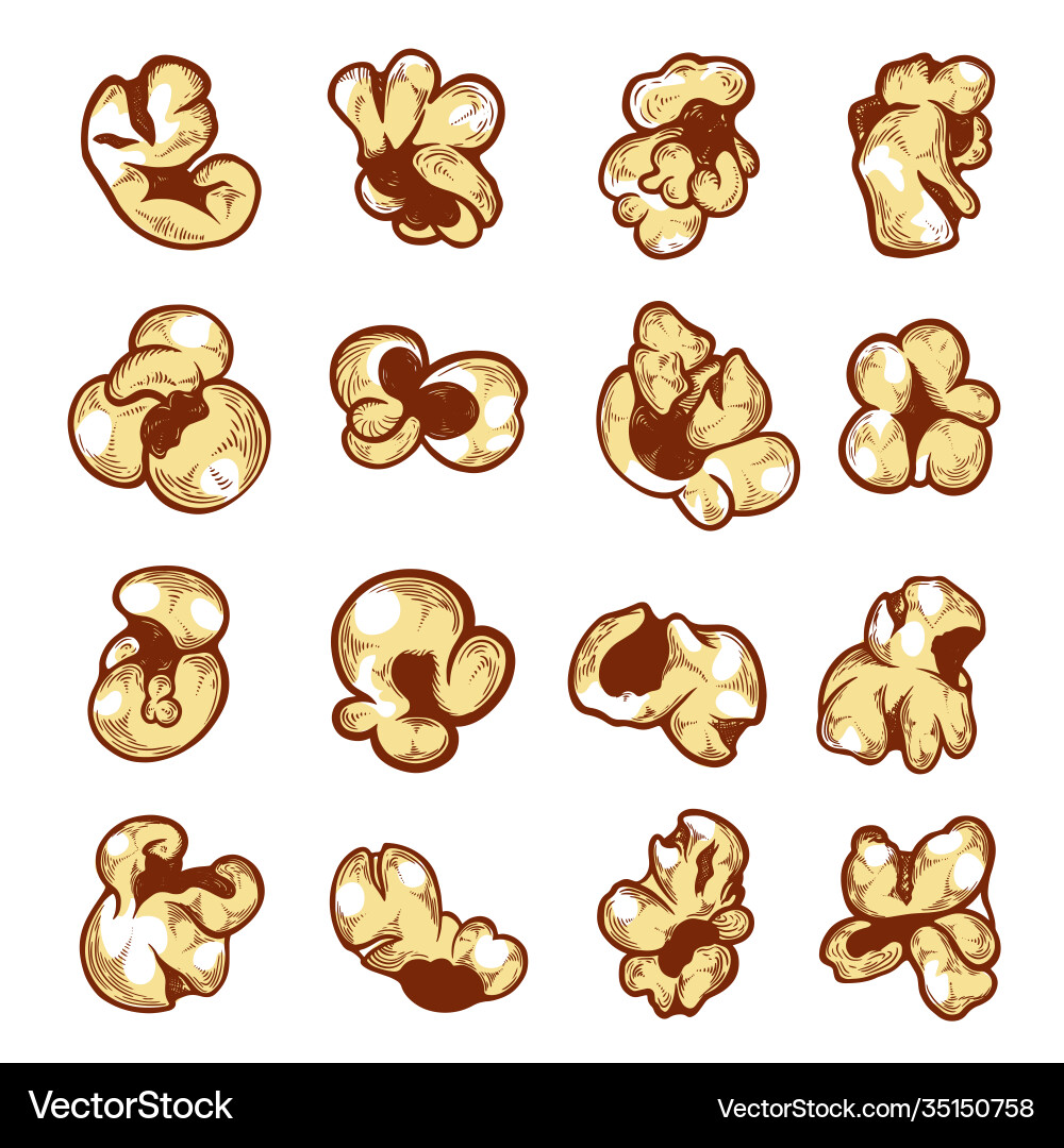 Popcorn kernels hand drawn set salty sweet Vector Image