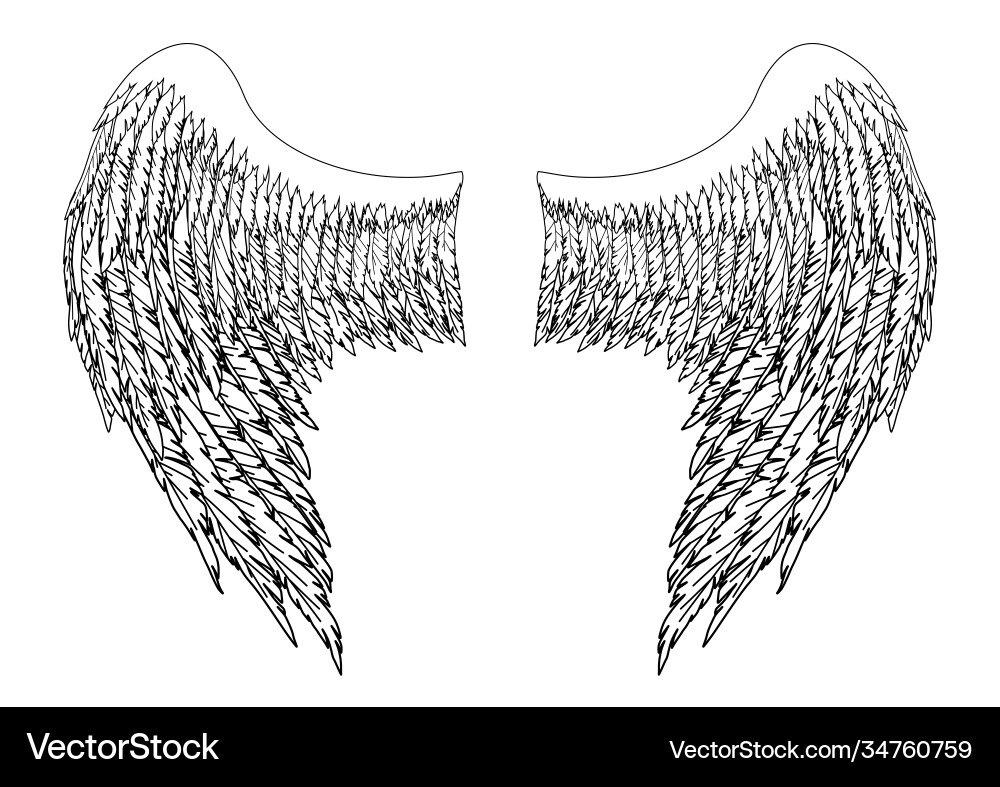 Black and white hand-drawn wings Royalty Free Vector Image