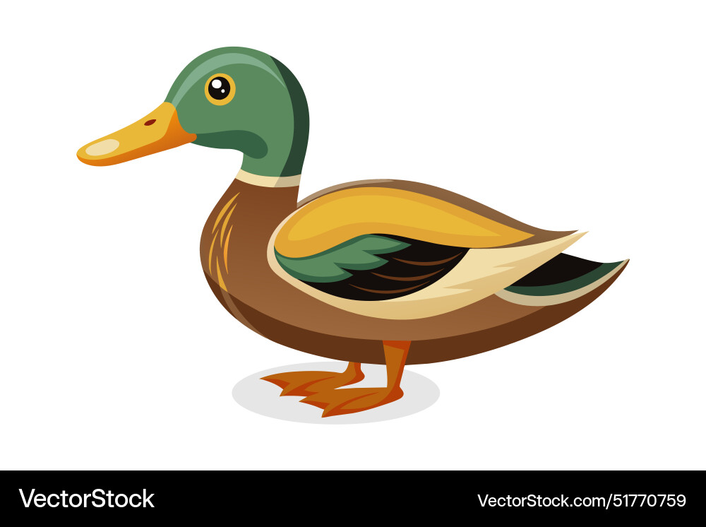 Duck isolated flat Royalty Free Vector Image - VectorStock