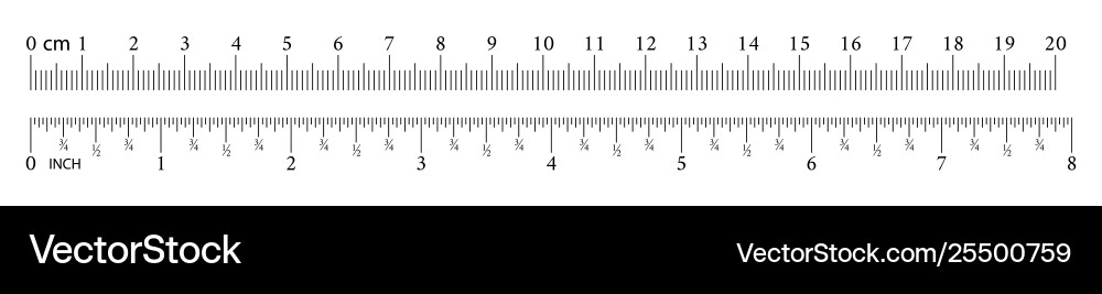 Inch rulers measuring tool ruler graduation grid Vector Image