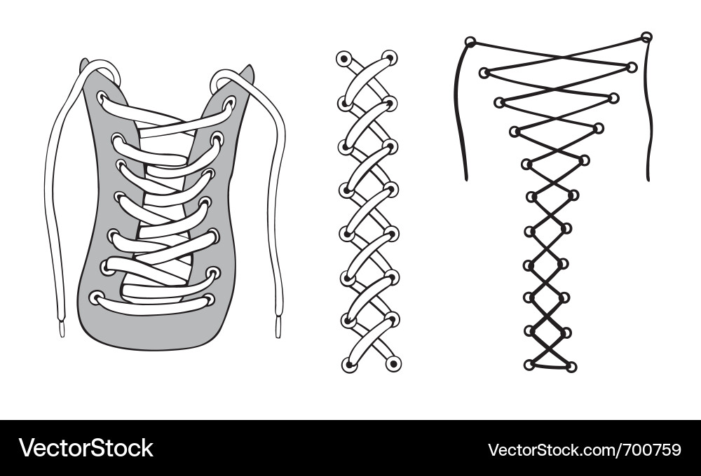 Laces Royalty Free Vector Image - VectorStock