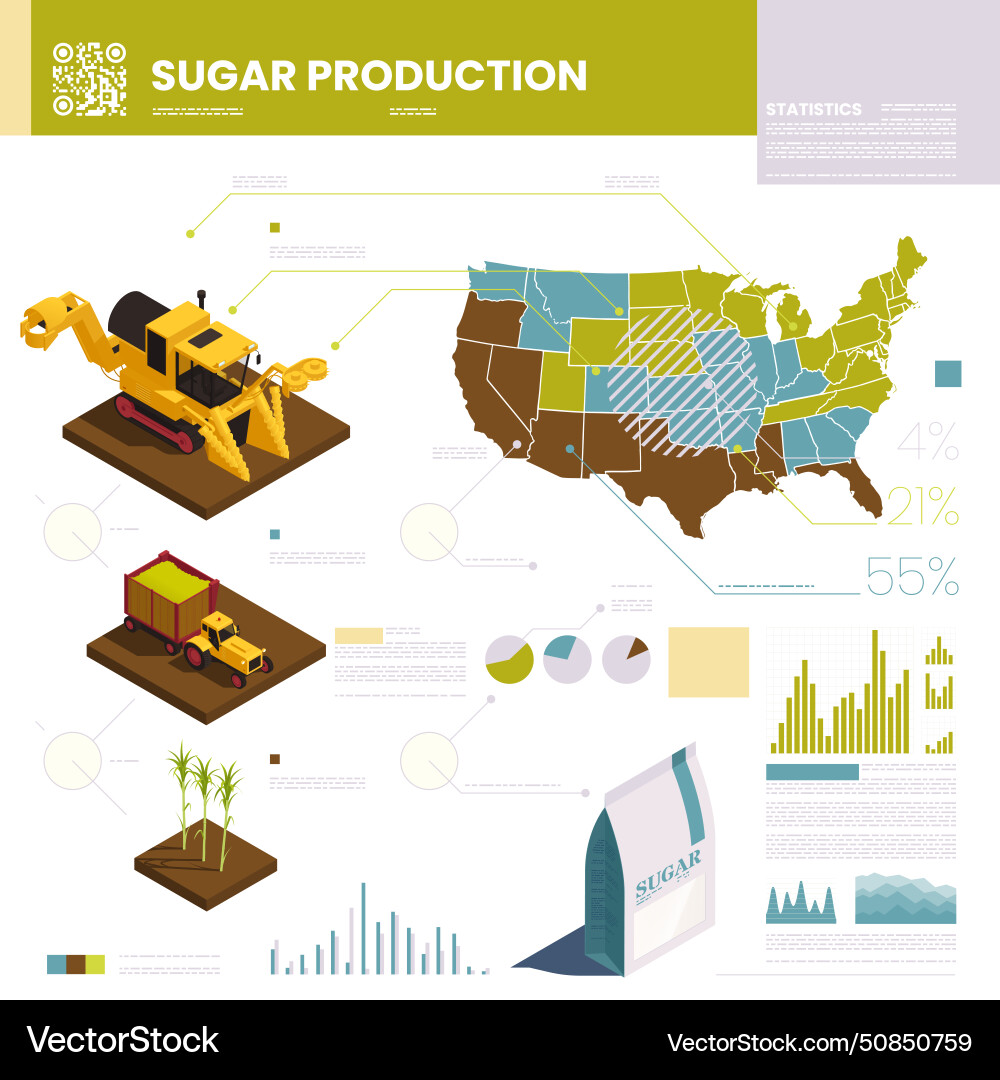 World sugar production infographics Royalty Free Vector