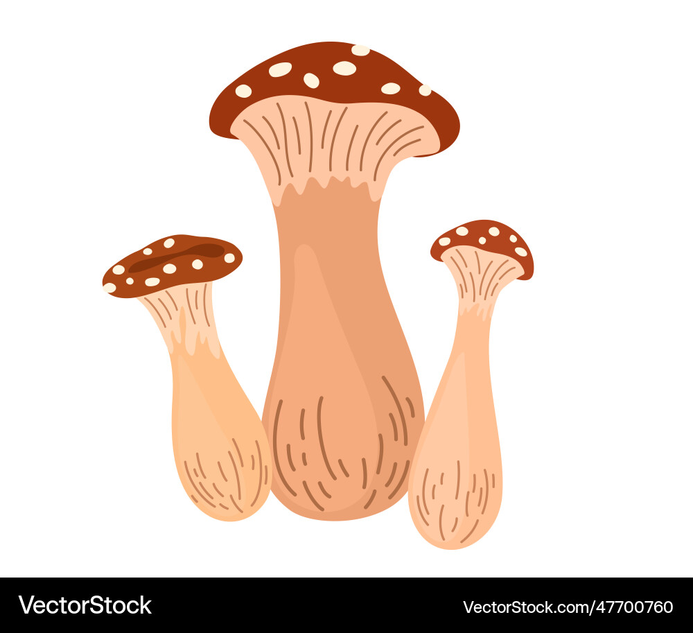 0604 mushroom Royalty Free Vector Image - VectorStock