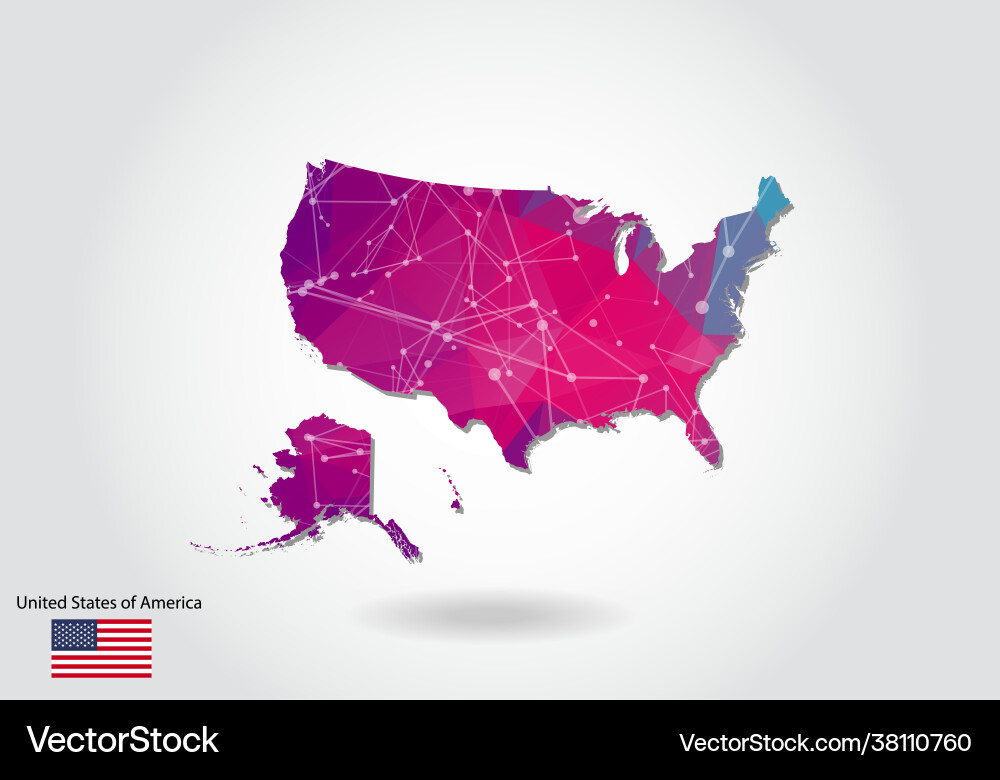 Polygonal united states map low poly design Vector Image