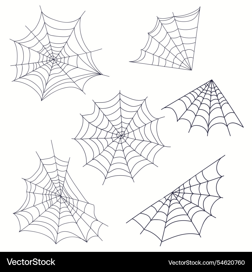 Set of spider web line graphic collection Vector Image