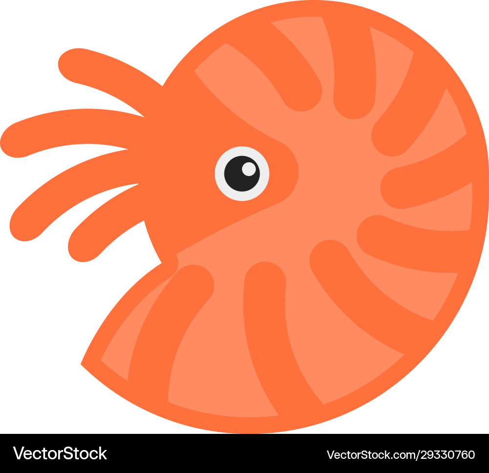 Shellfish Royalty Free Vector Image - VectorStock