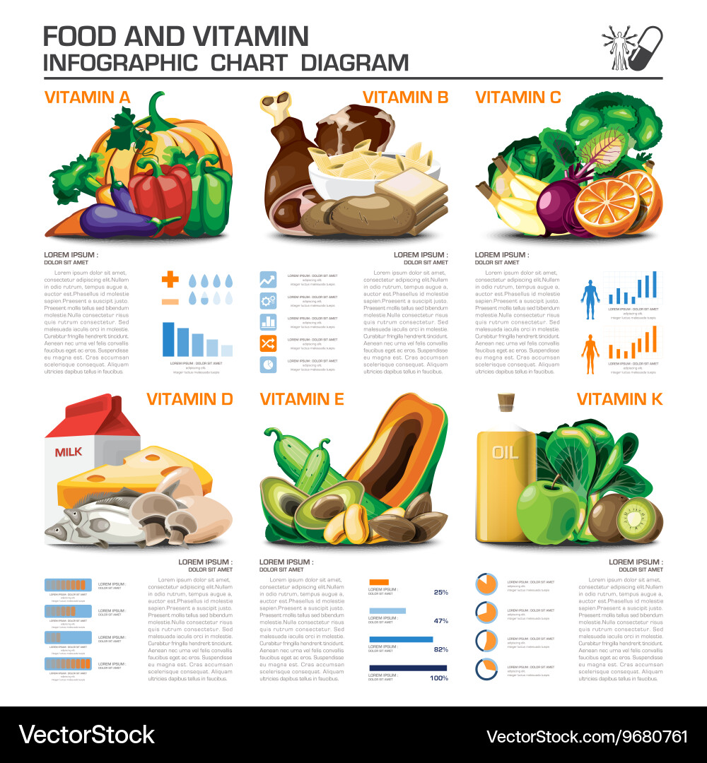 Food and vitamin infographic chart diagram Vector Image