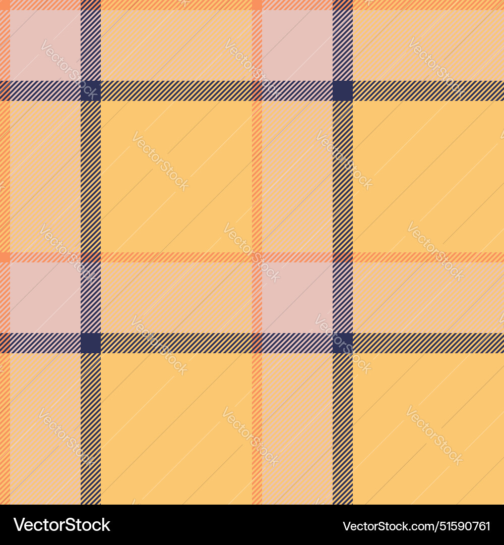 Plaid seamless pattern check fabric texture Vector Image