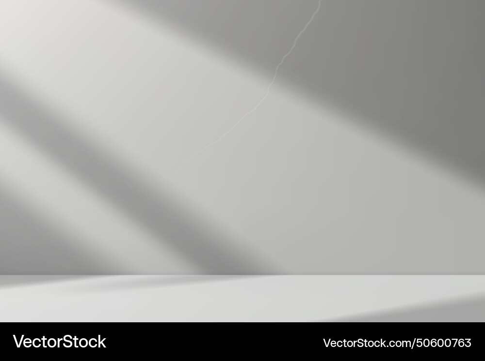 Empty studio room background with light shadow Vector Image
