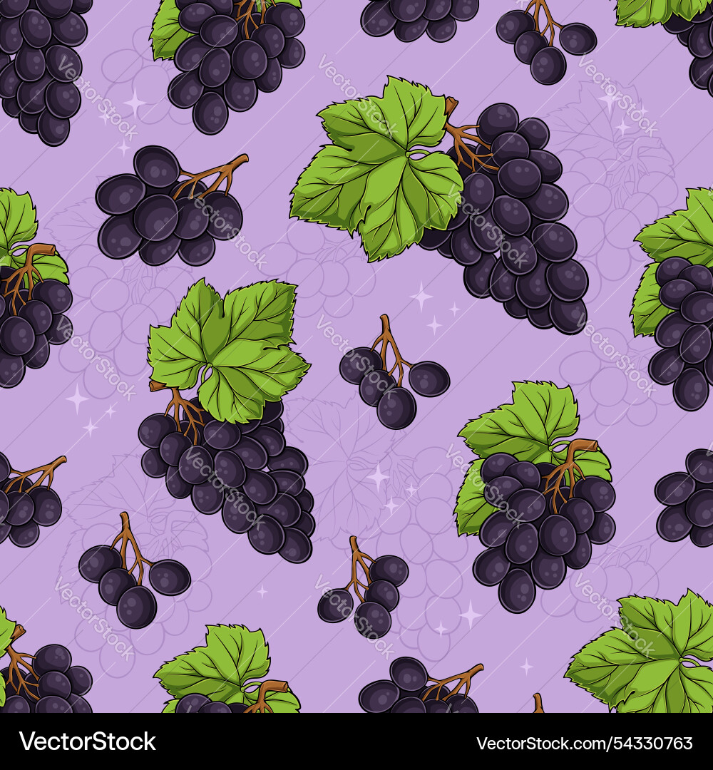 Hand drawn seamless pattern of deep purple grapes Vector Image