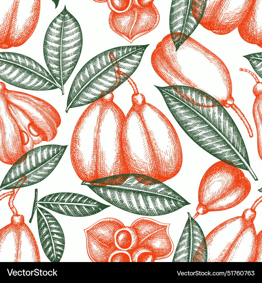 Hand drawn sketch style ackee seamless pattern Vector Image
