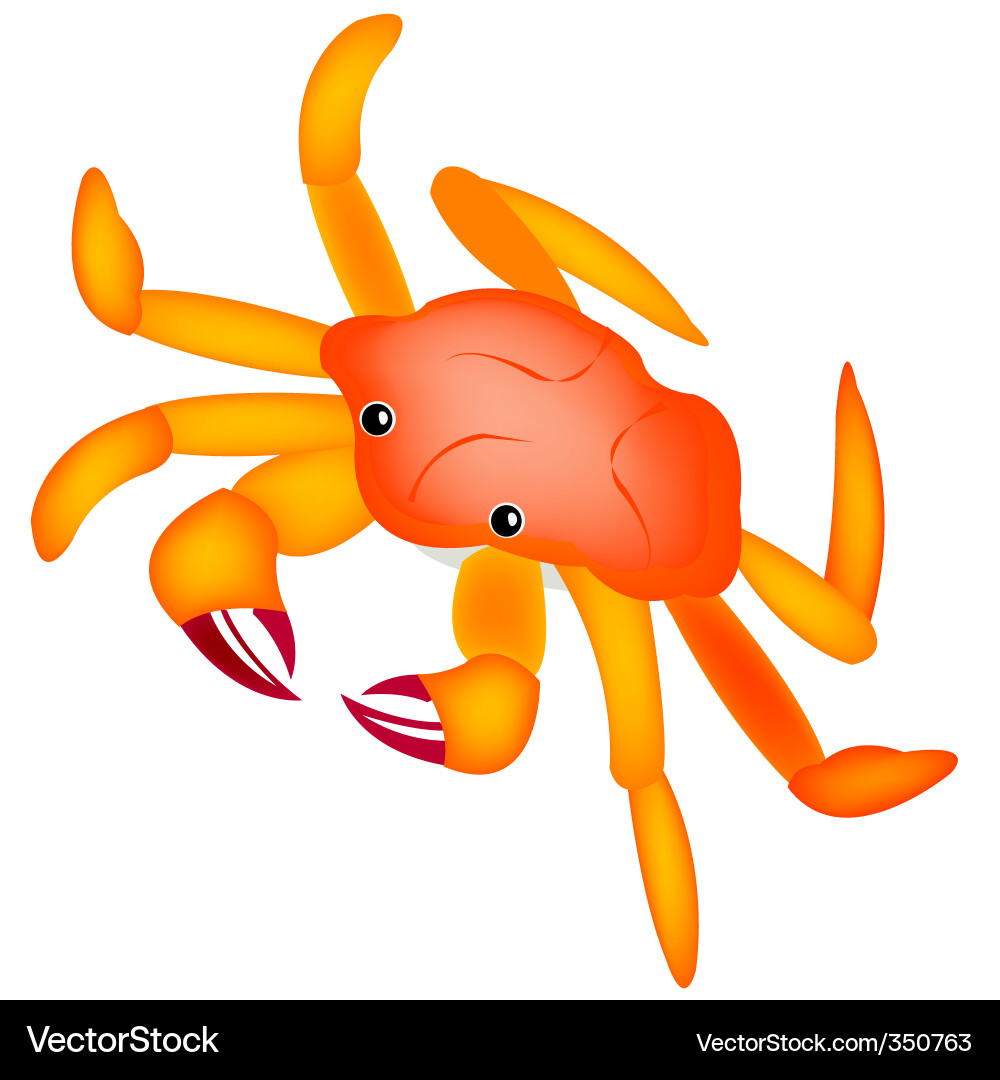 Sea crab Royalty Free Vector Image - VectorStock