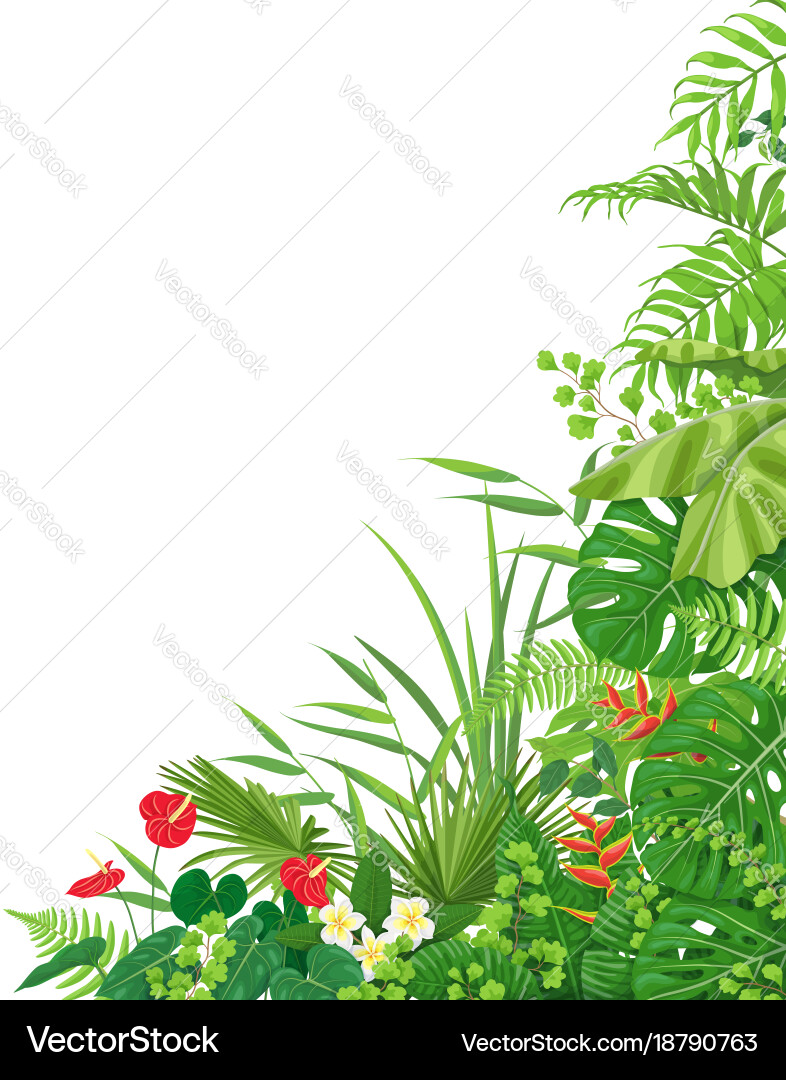 Tropical Plants Border Royalty Free Vector Image