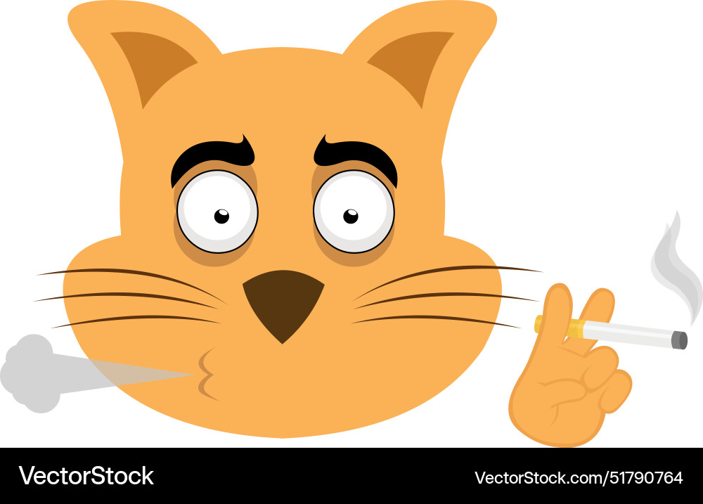 Cat smoking cigarette Royalty Free Vector Image