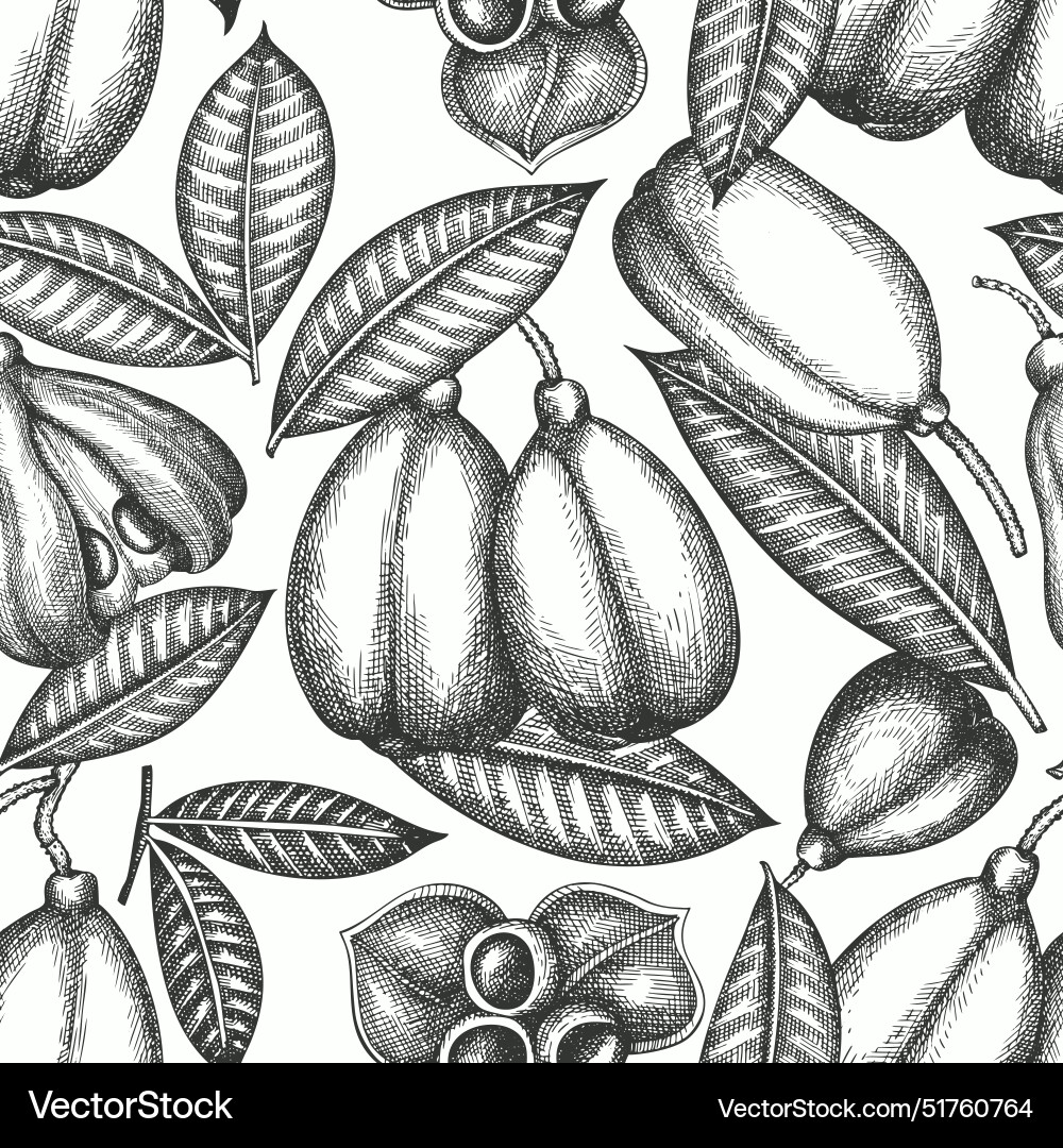 Hand drawn sketch style ackee seamless pattern Vector Image