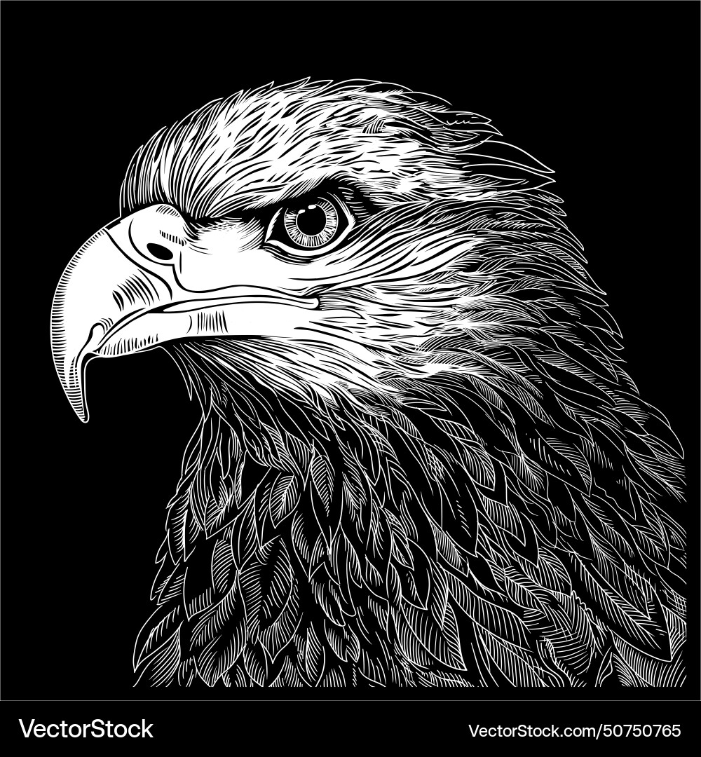 Eagle on a white background Royalty Free Vector Image