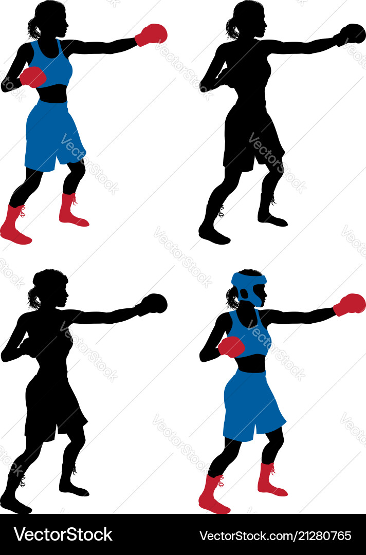 Female boxer boxing Royalty Free Vector Image - VectorStock