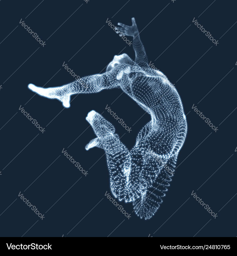 Gymnast man 3d human body model grid design Vector Image