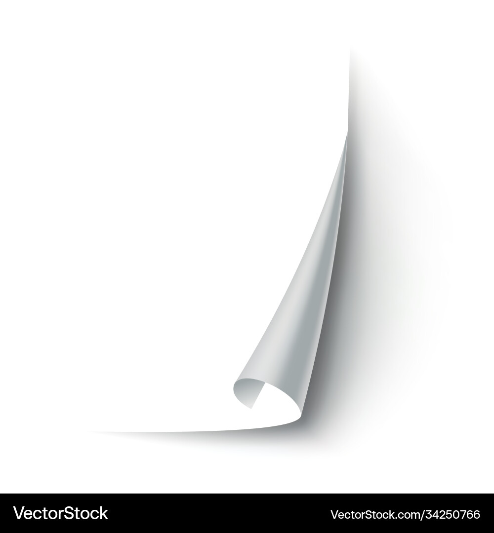 Curled paper corner curve page edge Royalty Free Vector