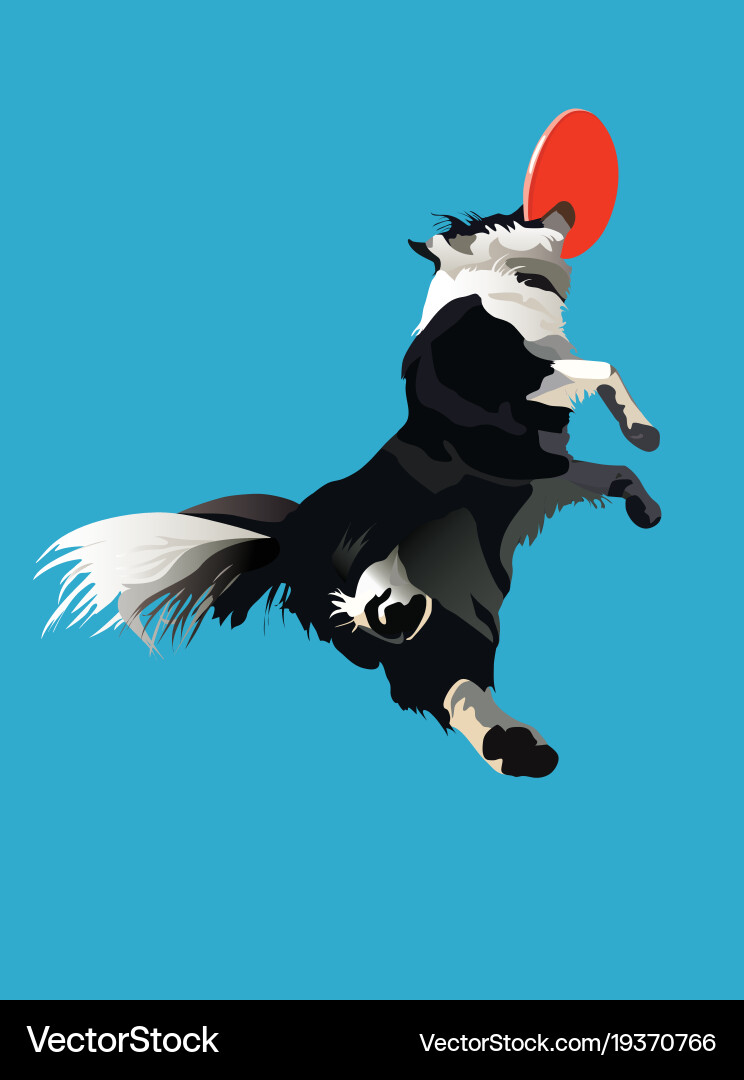 Dog-frisbee1 Royalty Free Vector Image - VectorStock