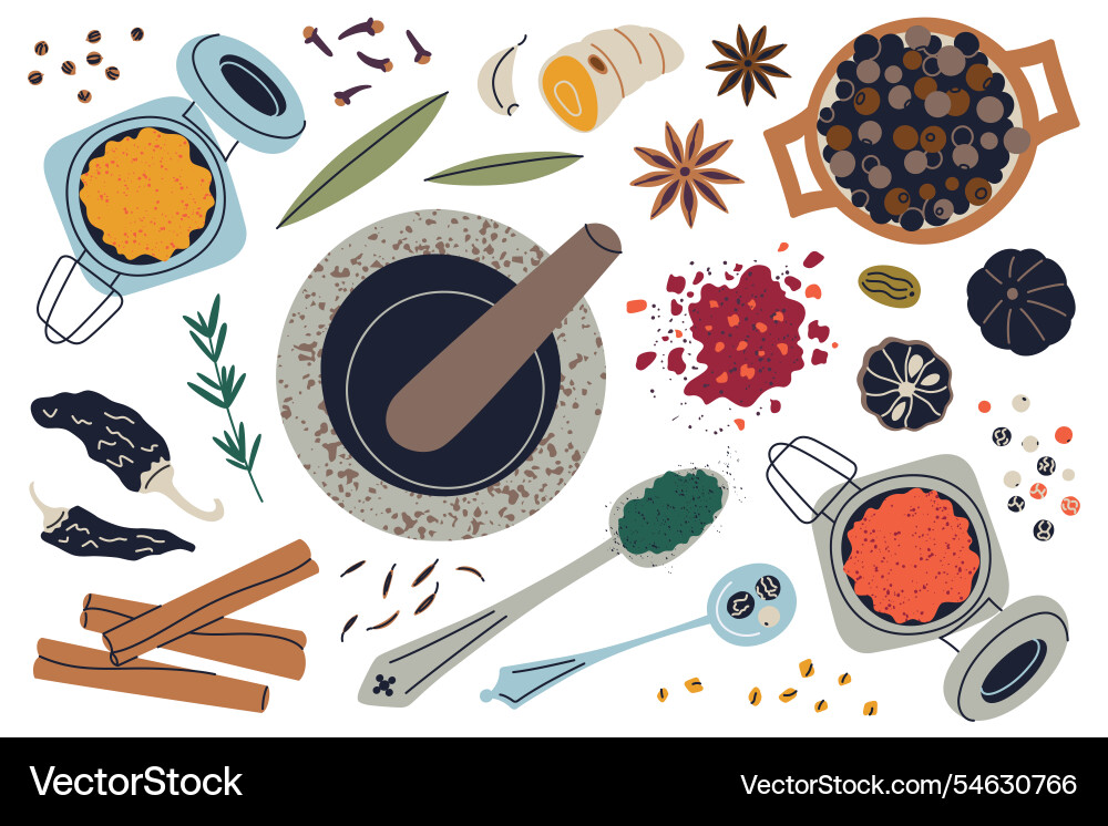 Flat cartoon spice Royalty Free Vector Image - VectorStock