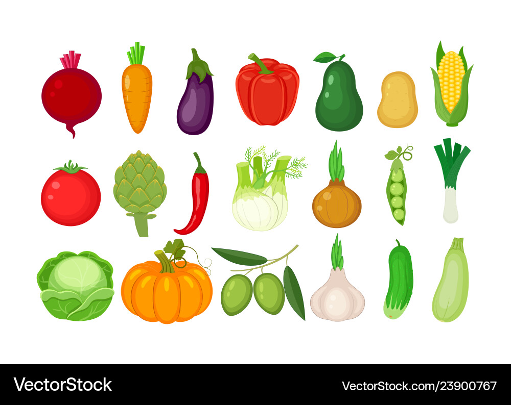 Big set of different vegetables Royalty Free Vector Image