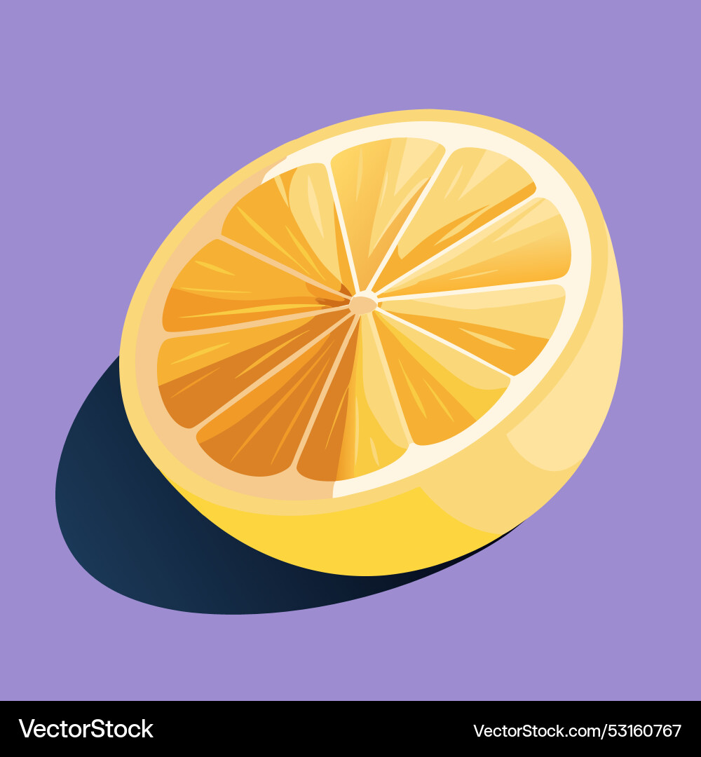 Lemon citrus fruit slice Royalty Free Vector Image