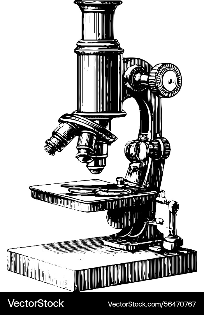 Vintage microscope engraving with bold black lines