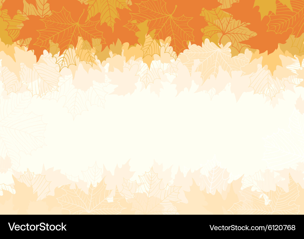 Autumn maple leaves Royalty Free Vector Image - VectorStock