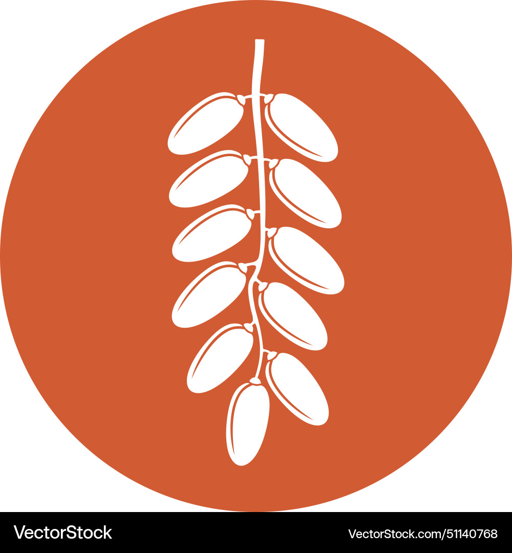 Date fruit Royalty Free Vector Image - VectorStock