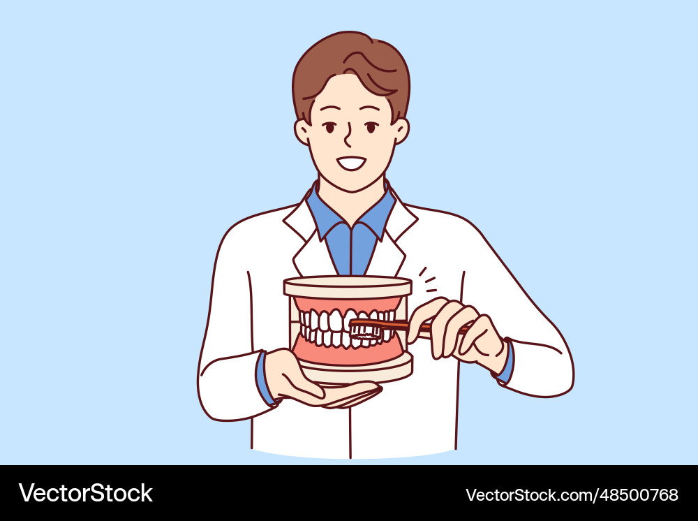 Man dentist explaining rules of brushing teeth Vector Image