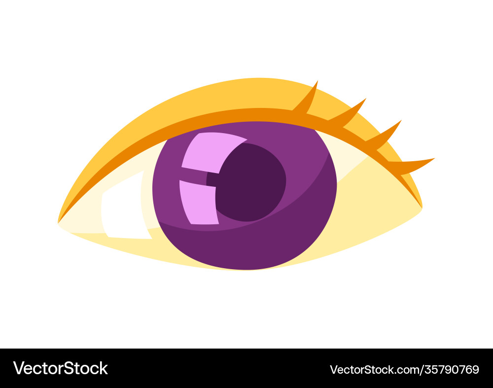 Human eye Royalty Free Vector Image - VectorStock